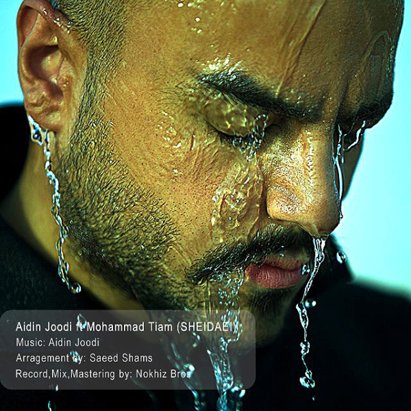 Sheidaei (Ft Mohammad Tiam) - Single by Aidin Joodi