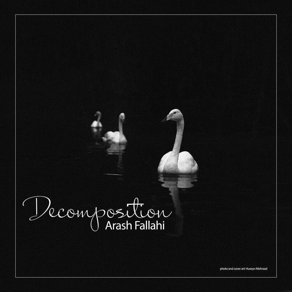 Decomposition - Single by Arash Fallahi