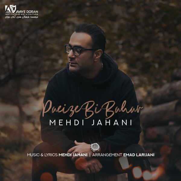 Best of Mehdi Jahani Music Playlist on Radio Javan