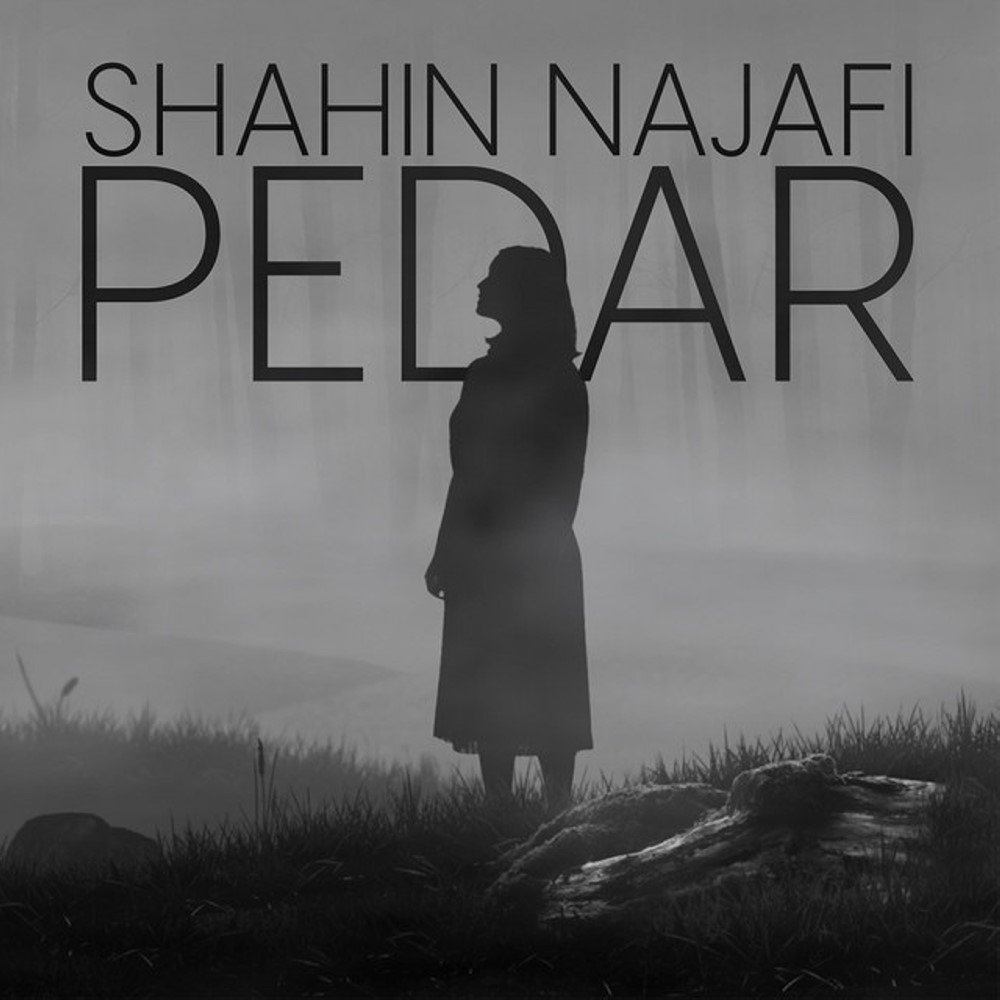 Pedar - Single by Shahin Najafi