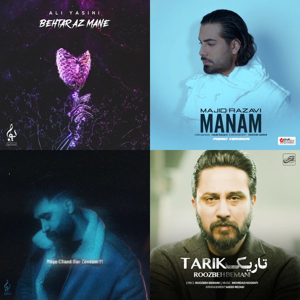 amir Music Playlist
