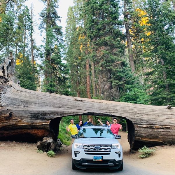 DorDor Music Playlist